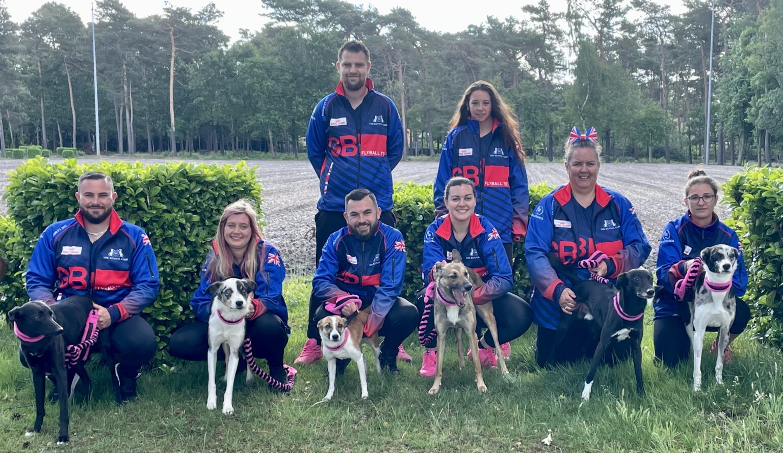 Flyball: fast, furious, and fun - McTimoney Animal Association ...