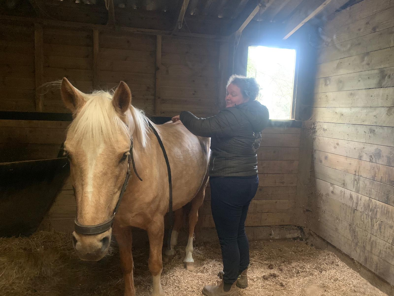 15-year-old Ella and her “Dancing Dutch riding pony” make GB selection ...